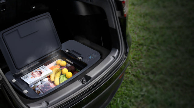The Tesla Fridge - World's First Portable Freezer for Tesla Sub Trunk ...