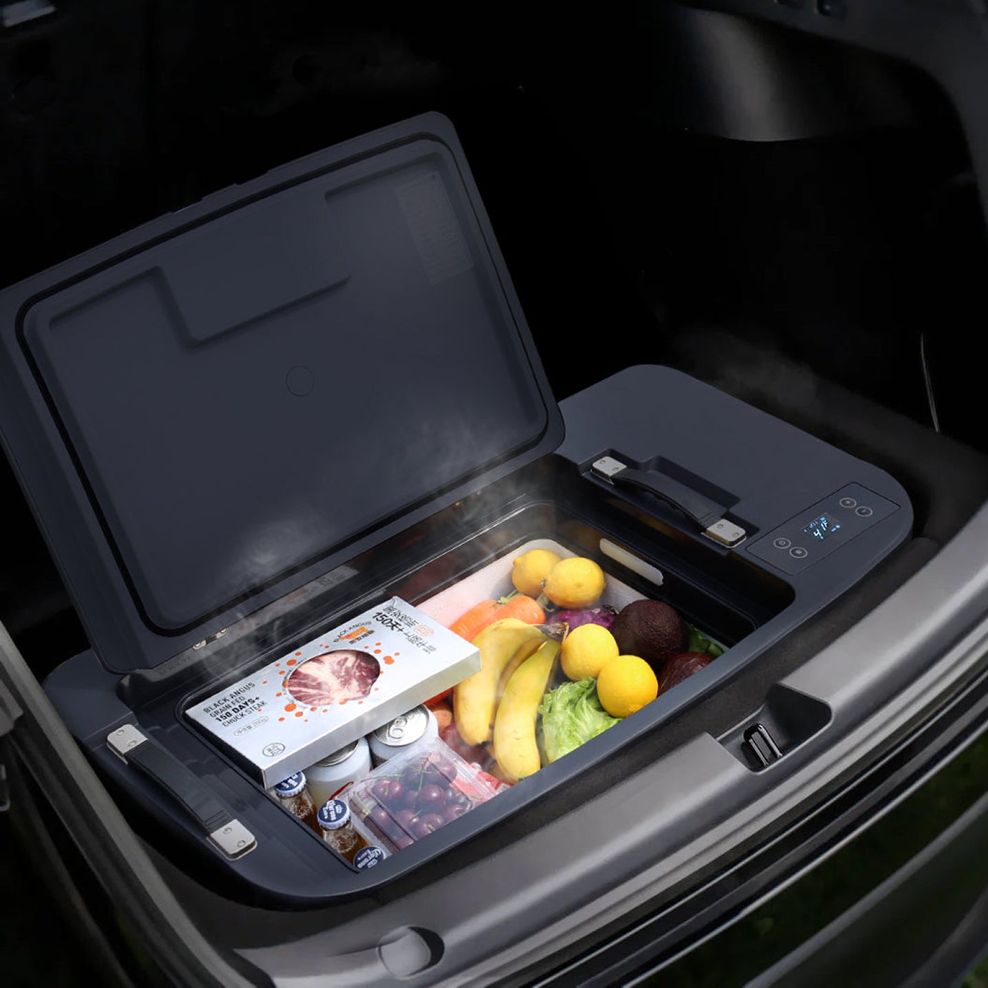 The Tesla Fridge - Portable Freezer for Tesla 3/Y/X Trunk Refrigerator ...